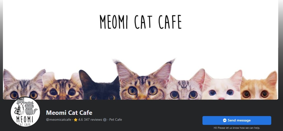 Top 5 Pet Cafes in Singapore [2026]