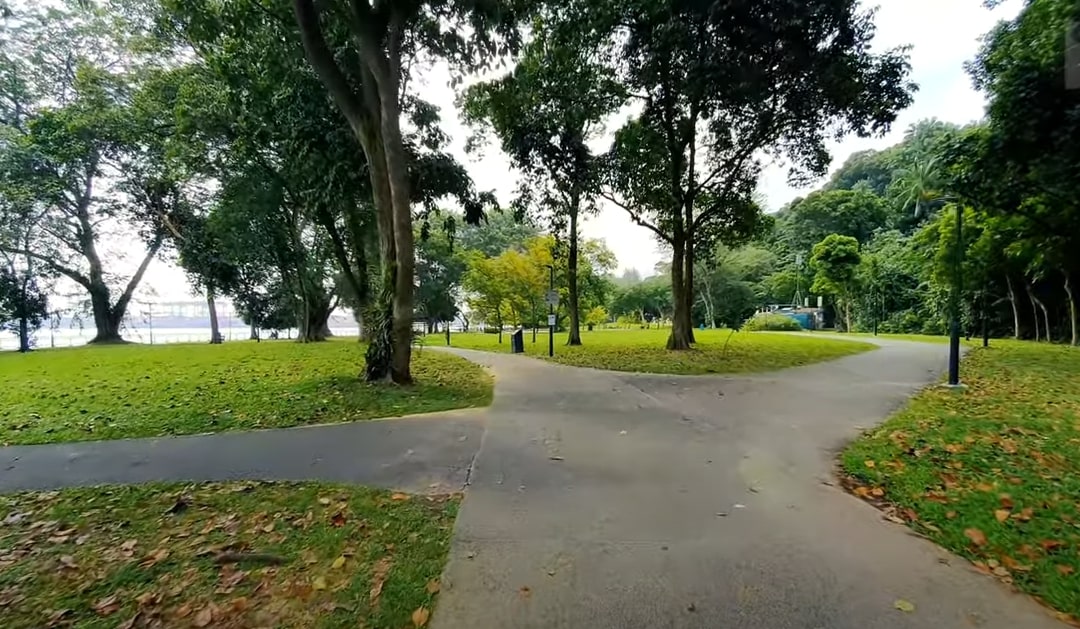 Labrador Park Singapore: A Complete Guide for Nature Seekers [2026]