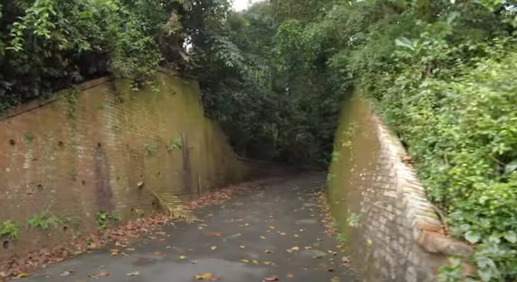 Labrador Park Singapore: A Complete Guide for Nature Seekers [2026]
