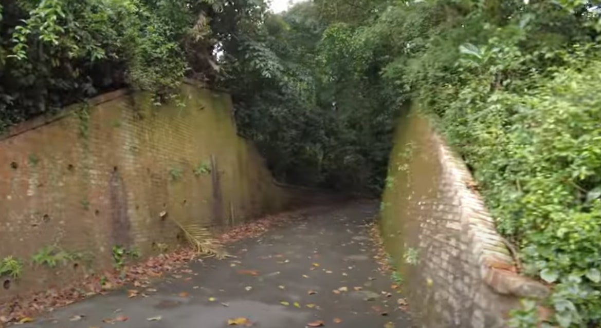 Labrador Park Singapore: A Complete Guide for Nature Seekers [2026]