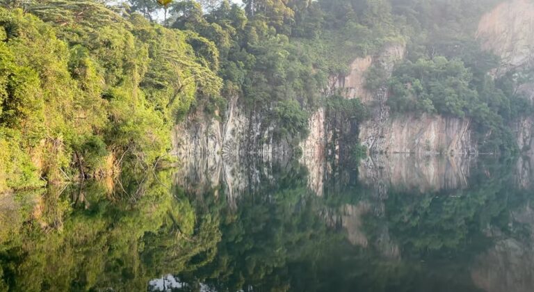 A Guide to Bukit Timah Nature Reserve and Hindhede Nature Park [2026]