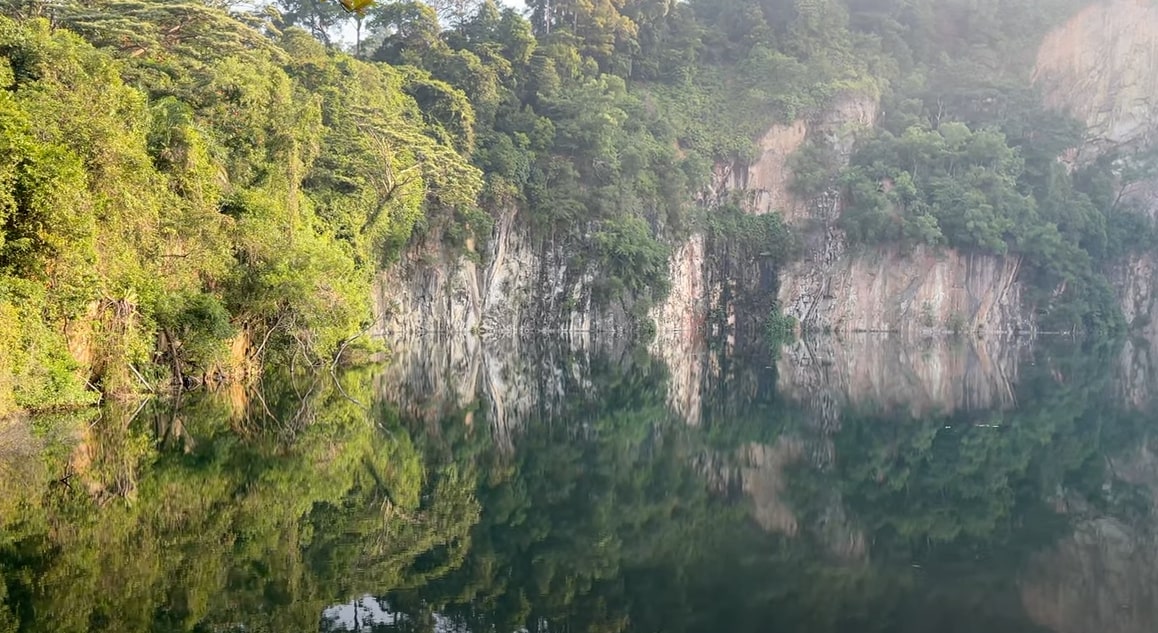 A Guide to Bukit Timah Nature Reserve and Hindhede Nature Park [2025]