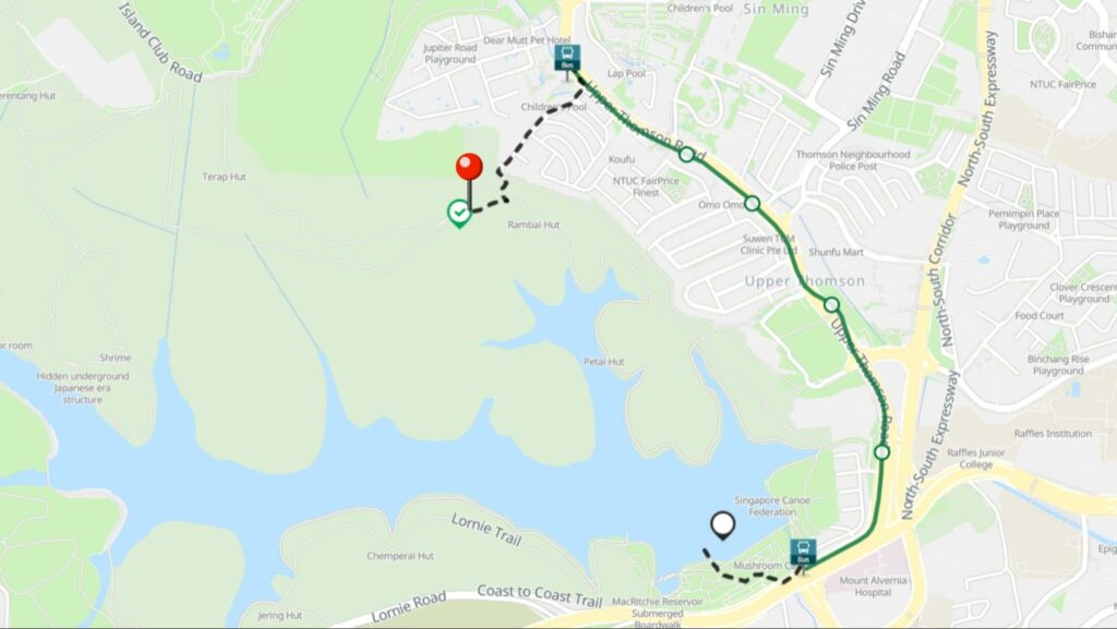 Discovering MacRitchie Reservoir Park Singapore: Complete Guide [2025]