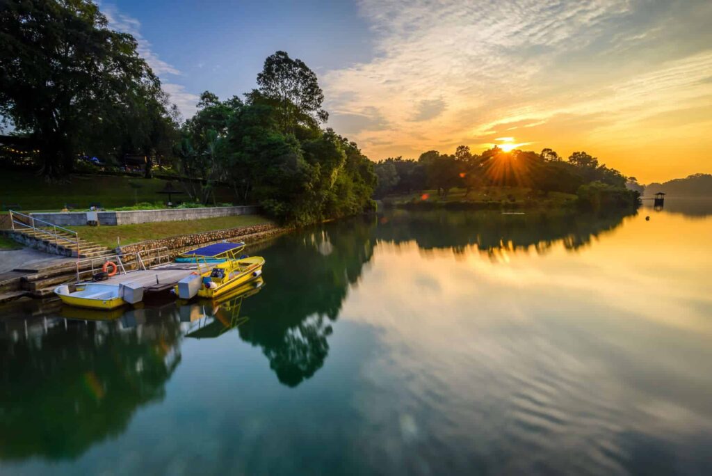 Discovering MacRitchie Reservoir Park Singapore: Complete Guide [2025]