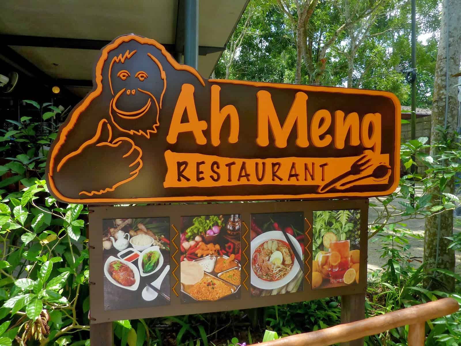 Here’s Your Complete Guide to Singapore Zoo [2025]