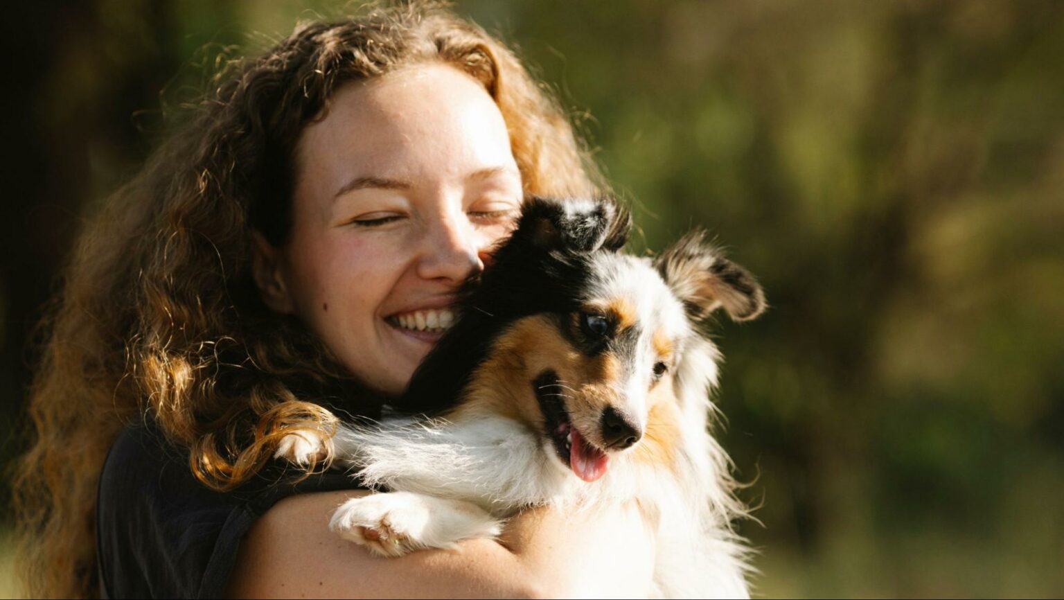 Singapore Special Dogs: Owning and Caring Guide [2026]