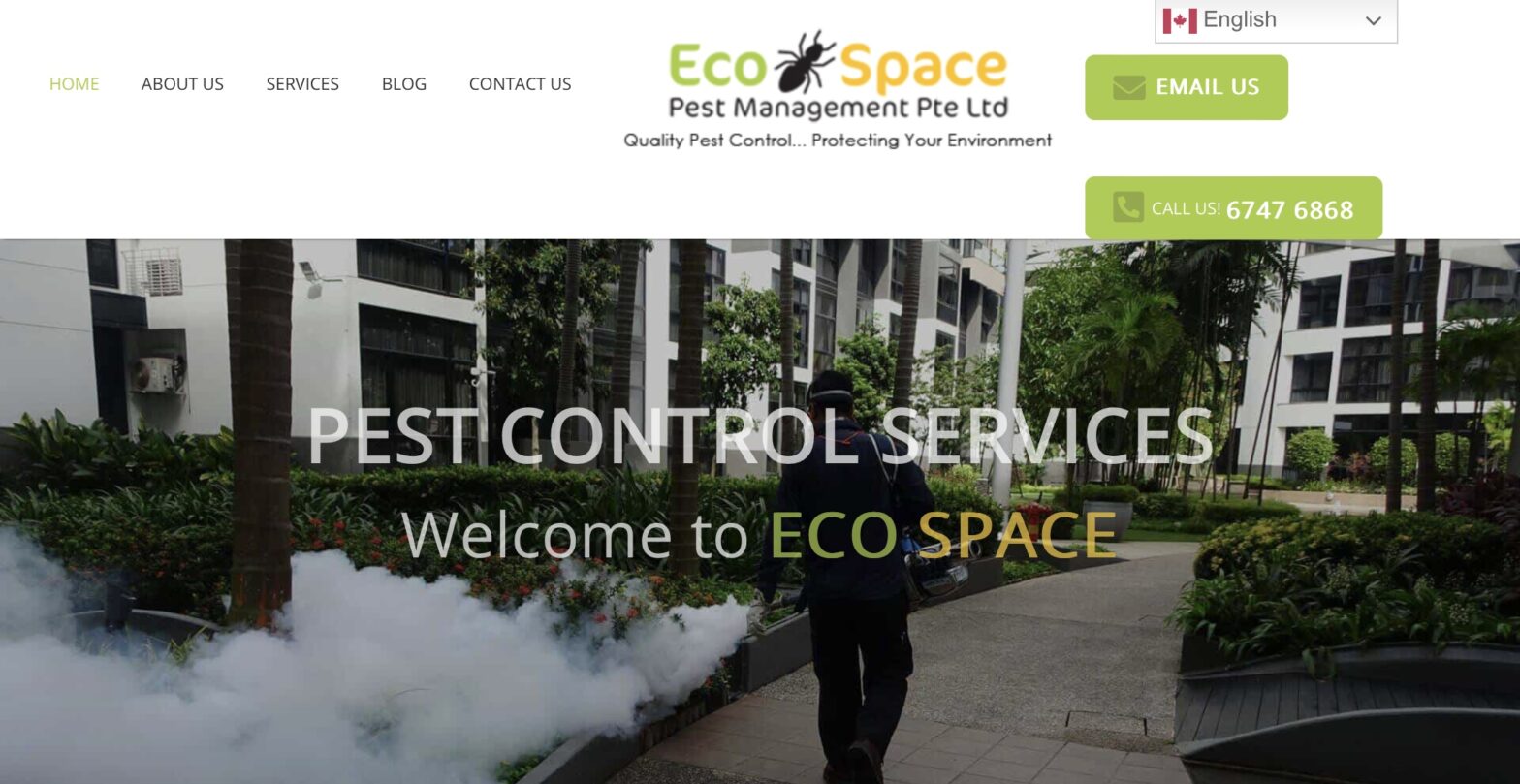 The 13 Best Termite Control Companies in Singapore [2026 ]