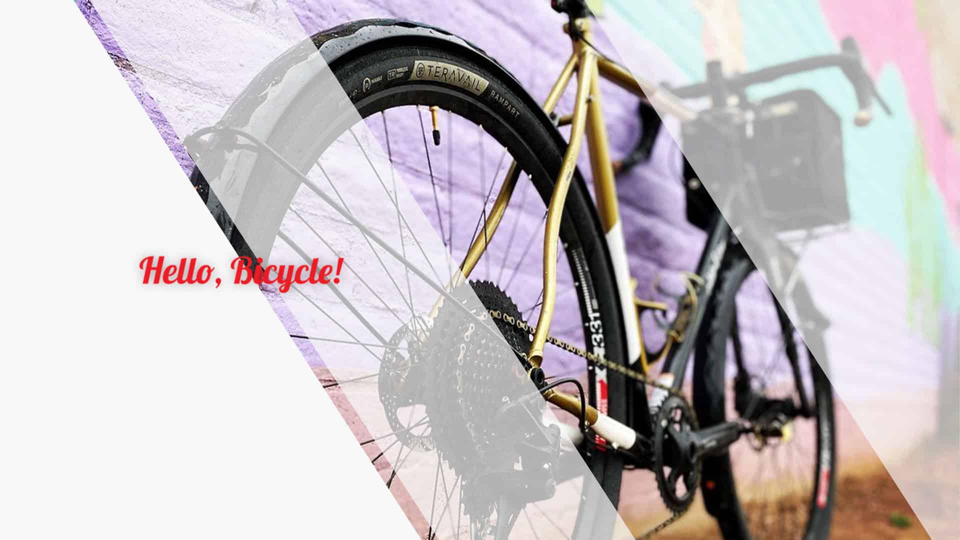 Top 7 Bicycle Shops in Singapore [2026 ]