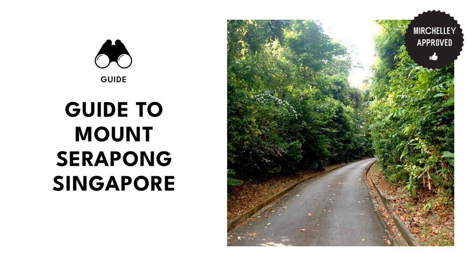 The Only Guide You Need to Mount Serapong Singapore