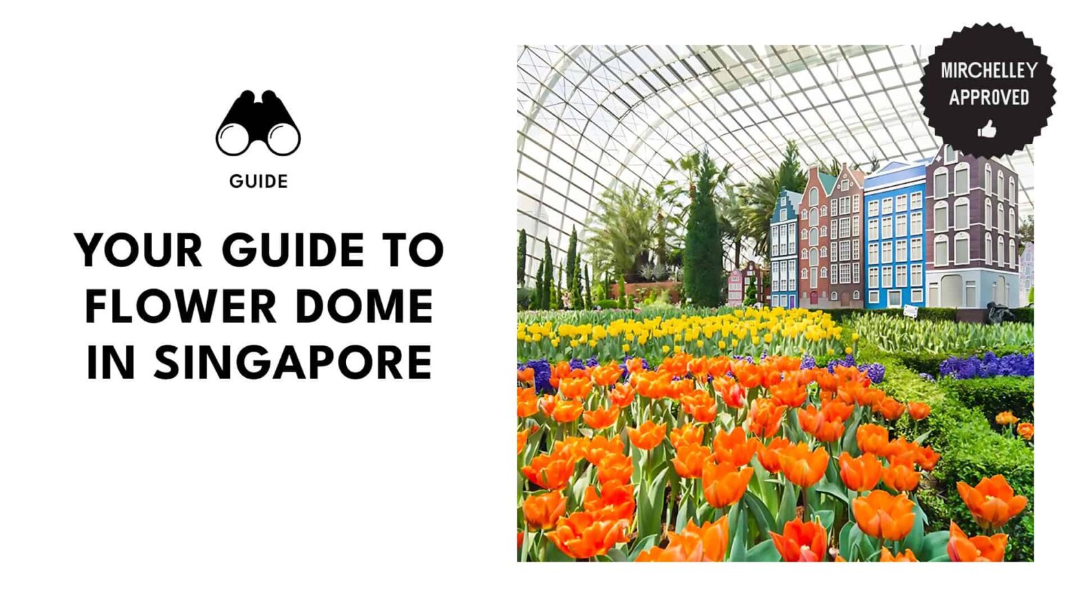 Your Guide to Seasonal Wonders at Flower Dome Singapore